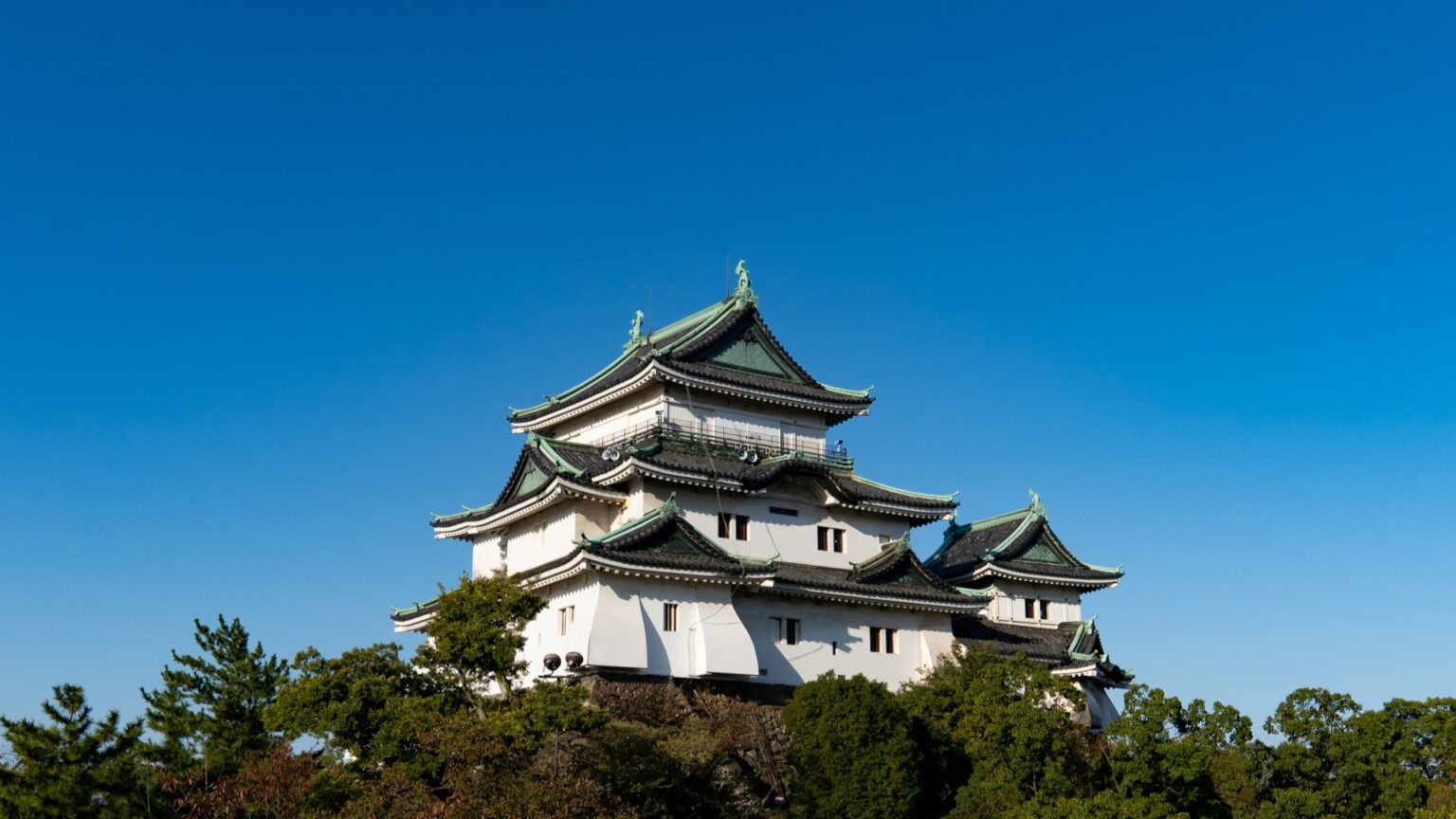 How did Tokugawa Ieyasu become the 1st Shogun of the Edo Shogunate ...