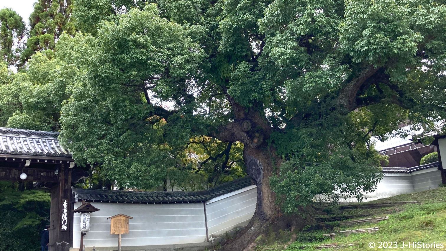 Shorenin Temple sheltered revolutionary Buddhists, Honen and Shinran ...