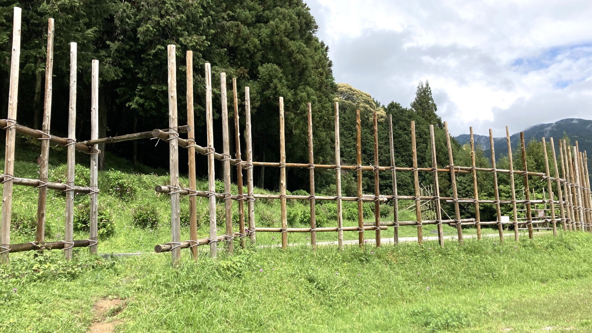 Battle of Nagashino and Shitaragahara: Cavalry to Gun | jhistories ...